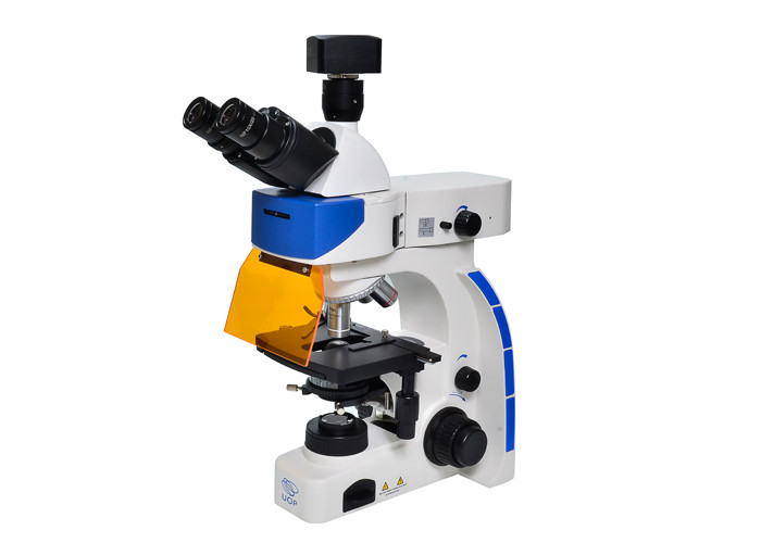LED Trinocular Upright Fluorescence Microscope with B & G Fluorescence ...