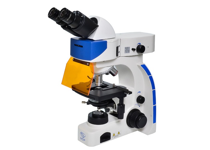 UOP Upright Fluorescence Microscope , High Resolution Fluorescence ...