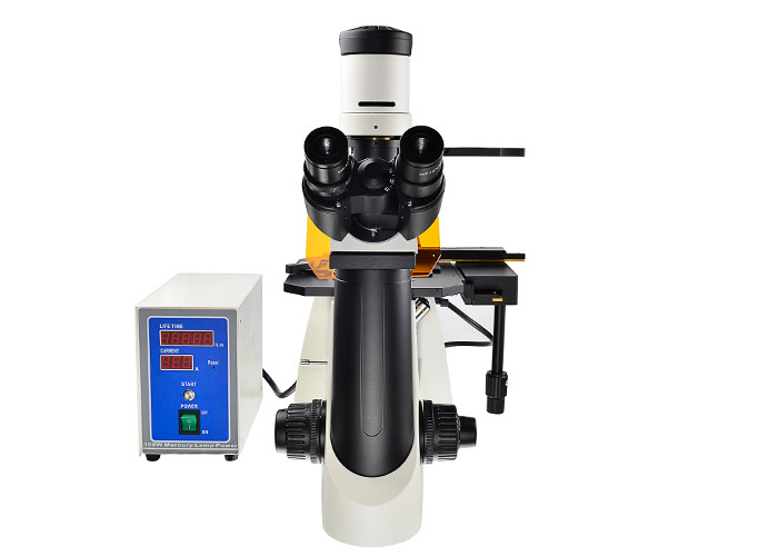 Phase Contrast UOP Inverted Fluorescence Microscope With B G Filter