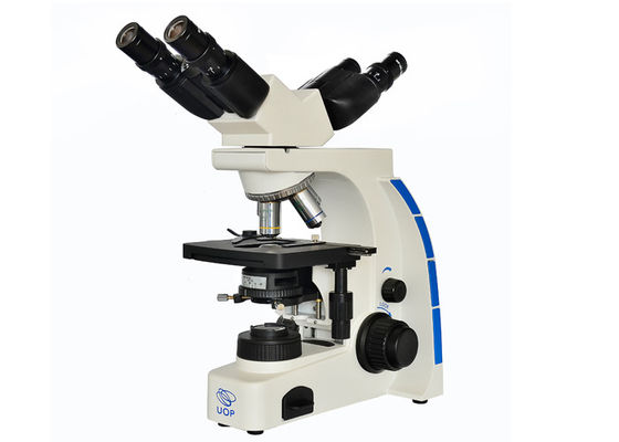 Multi Viewing Microscope on sales - Quality Multi Viewing Microscope ...
